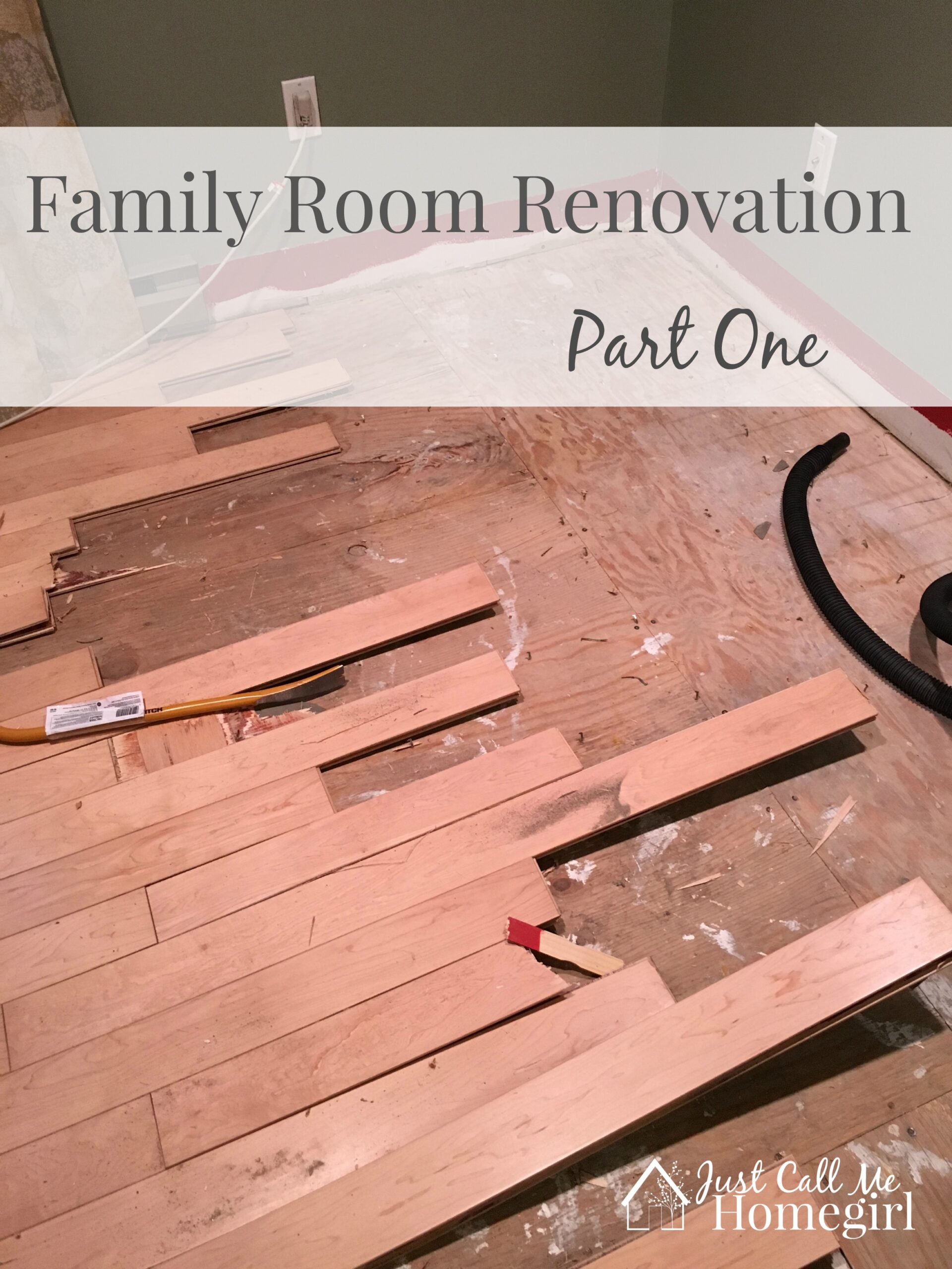 Family Room Renovation Part One